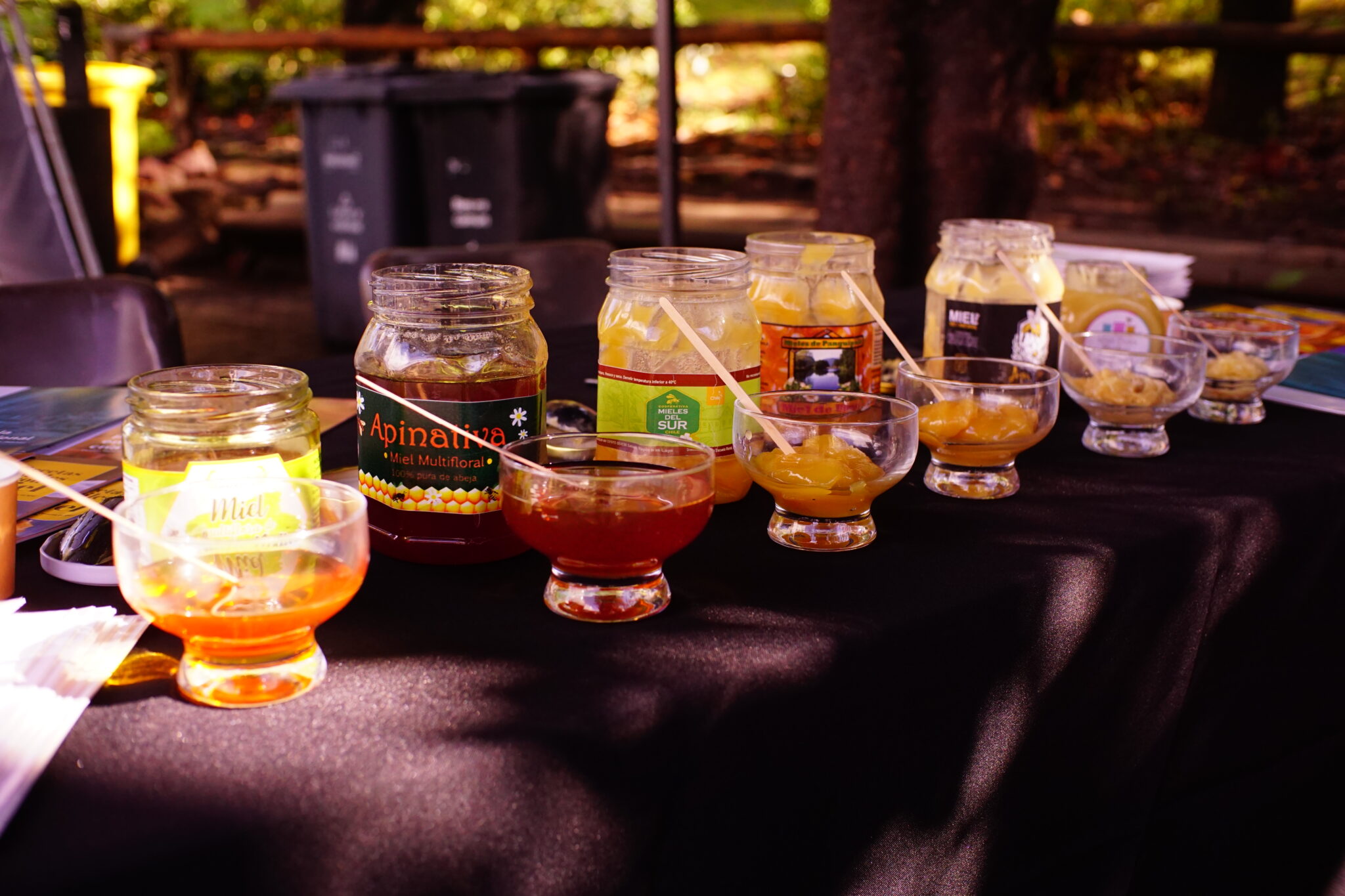 🟨 CONSUMO DE MIEL EN CHILE SIGUE AL ALZA: Resultados del Sondeo de ...